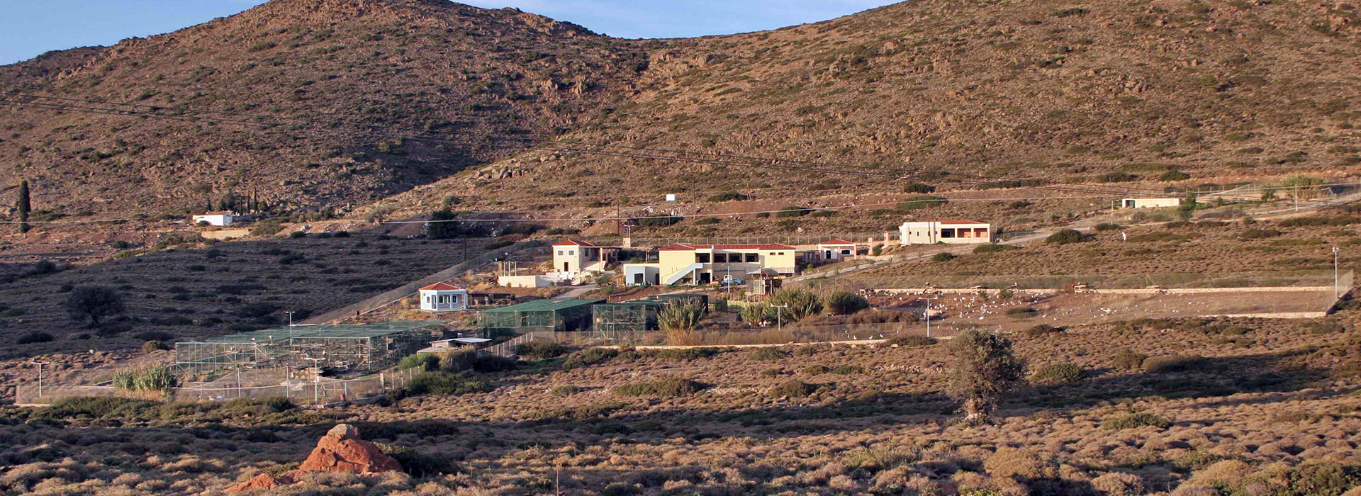 ΕΚΠΑΖ - Ελληνικό Κέντρο Περίθαλψης Άγριων Ζώων | ΑΡΧΙΚΗ - ΕΚΠΑΖ ...